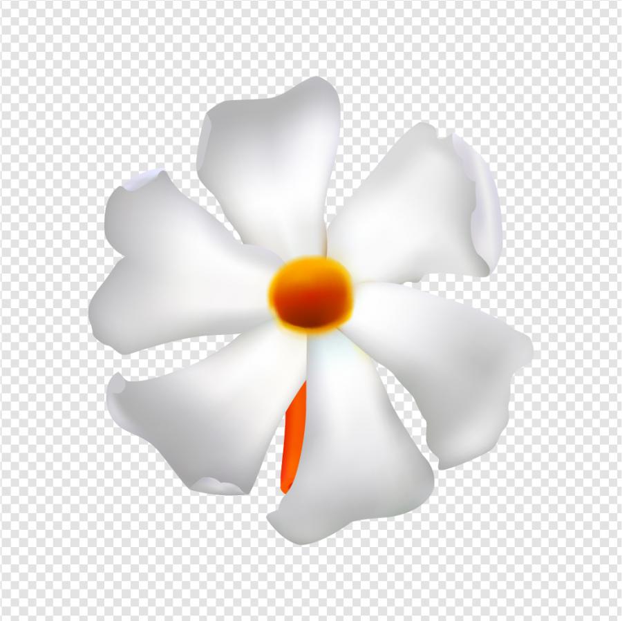 Posterit - Shiuli flower PNG