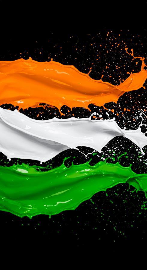 Posterit - Tricolor Paint Splash Portrait